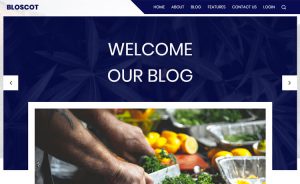 Free & Paid Blog templates with Bootstrap & HTML5