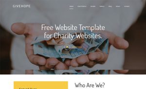 Top Charity Non Profit Responsive Website Templates | ThemeWagon